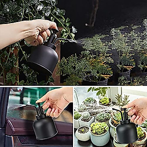 Globalstore Plant Mister, Stainless Steel Plant Mister Spray Bottle, Mini Plant Watering Can, Antique Spray Mister Fancy Plant Spritzer for Indoor Plants Succulents Orchids Air Plants Home Room Decor