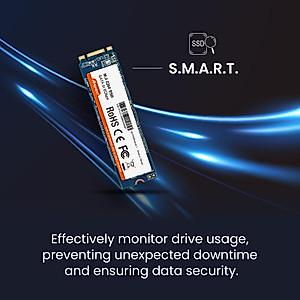 MMOMENT MS23 256GB M.2 2280 SATA III 6Gb/s Internal Solid State Drive SSD (up to 500MB/s)