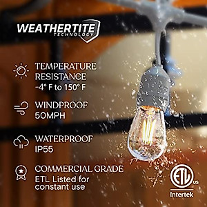 Brightech Ambience Pro - Waterproof LED Outdoor String Lights - Hanging, Dimmable Vintage Edison Bulbs, 48 Ft Commercial Grade Patio Lights Create Cafe Christmas Ambience In Your Backyard, 15 Bulbs 2W