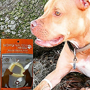 NOMO Peppermint Aromatherapy Motion Sickness Relief Bands for Dogs | Anti-Nausea Wristbands with Gentle Acupressure | 30-Second Nausea Relief Band | Medium to Large | Nude | Single Pack