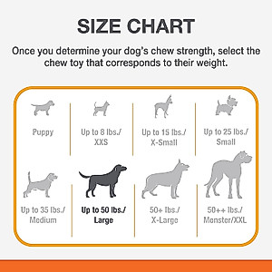 1 Pack Nylabone Durable Dental Dinosaur Chew Toy (Dinosaur Shape Varies), Large