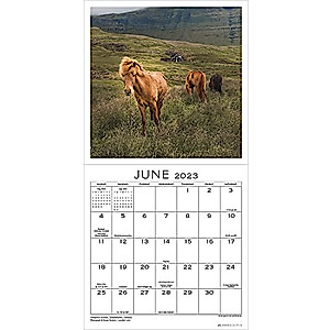The Soul of Iceland 2023 Wall Calendar: Traveling Through the Land of Fire and Ice | 12" x 24" Open | Amber Lotus Publishing