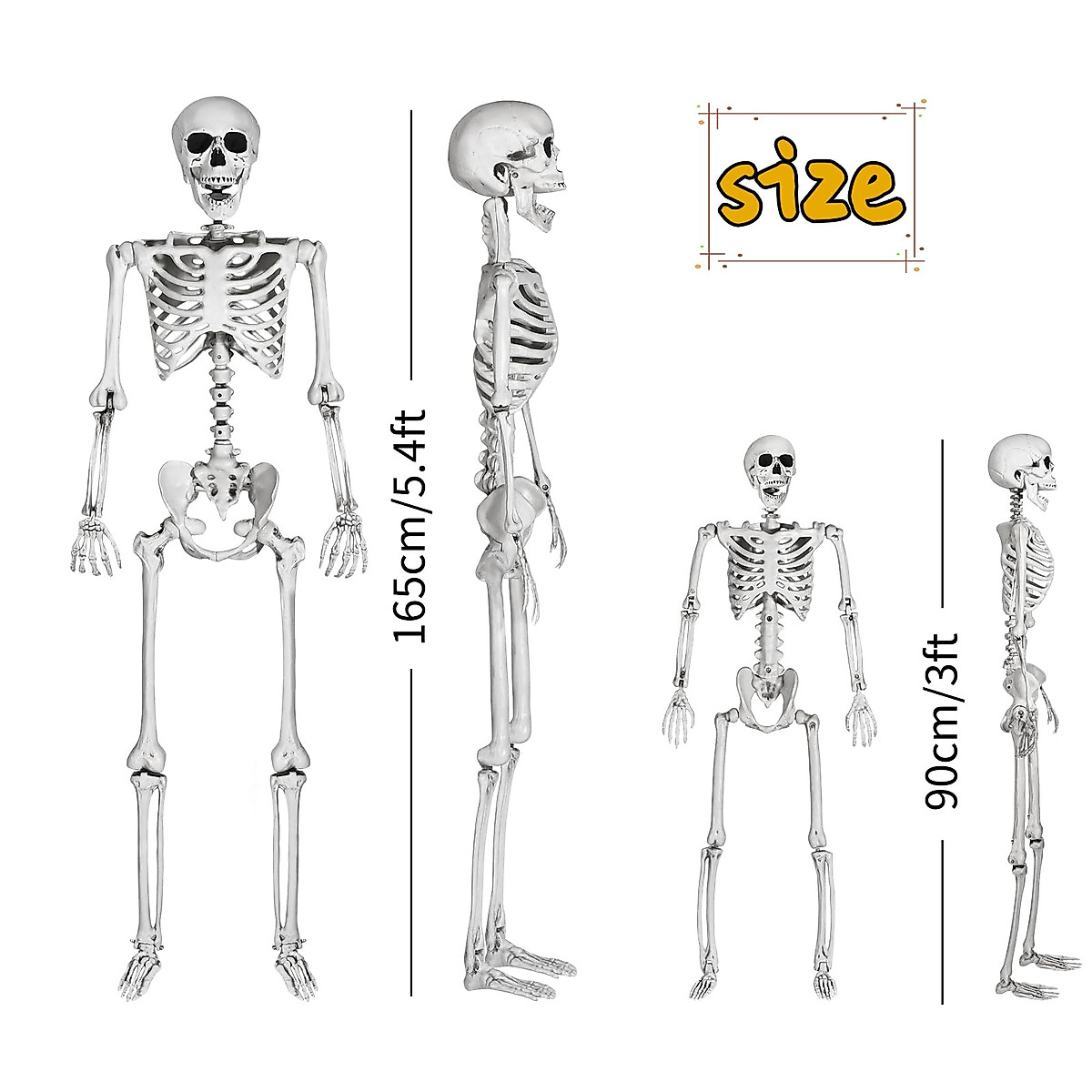 INHOTBY Halloween Skeleton Life Size,2 Pack - Adult (5.4ft) and Child (3ft) Full Size Posable Skeleton,Plastic Skeleton Halloween Decor,Scary Halloween Party Decorations Outdoor/Indoor
