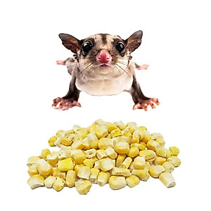 PETIVORE Premium Freeze Dried Corn for Sugar Glider and Small Exotic Pet - Made with Corn - Sugar Glider, Hamster, Squirrel, Chinchillas, Marmoset Happy Treats, Snacks and Food (17g)