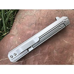 TACTICAL GEARZ Premium Titanium EDC Pocket Knife! Solid Tc4 Titanium Handle! D2 Steel Tanto Blade! Includes Sheath! Seren (Platinum)