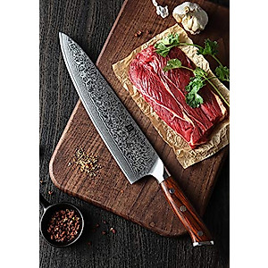 XINZUO 10 Inch Damascus Chef Knife Kitchen Knife Sharp Gyuto Knife Stainless Steel Fashion Professional Chef's Knife with Rosewood Handle