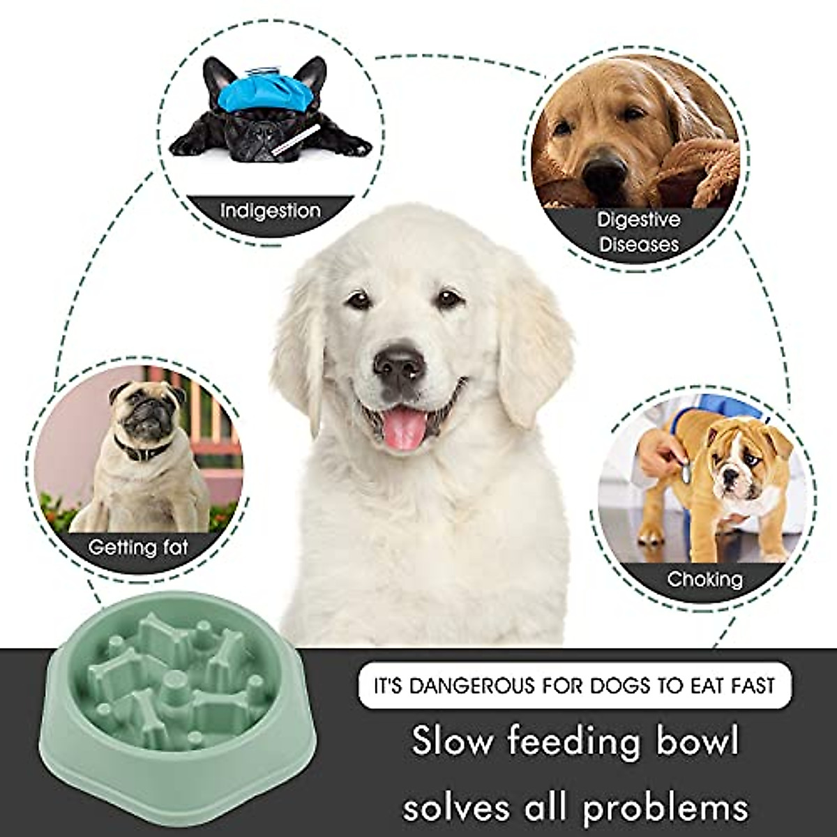 DPOEGTS Slow Feeder Dog Bowl, Puzzle Dog Food Bowl Anti-Gulping Interactive Dog Bowl and Water Dog Bowl for Small/Medium Sized Dogs (Green, Bone)