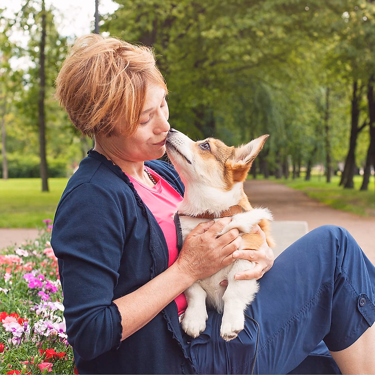 Blue Emu Vet Skin & Joint Soothing Cream - Deep Hydration & Joint Support for Your Furry Friends - 12 oz