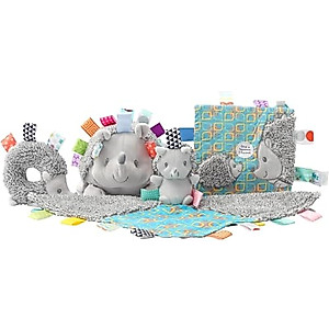 Taggies Heather Hedgehog Baby Rattle