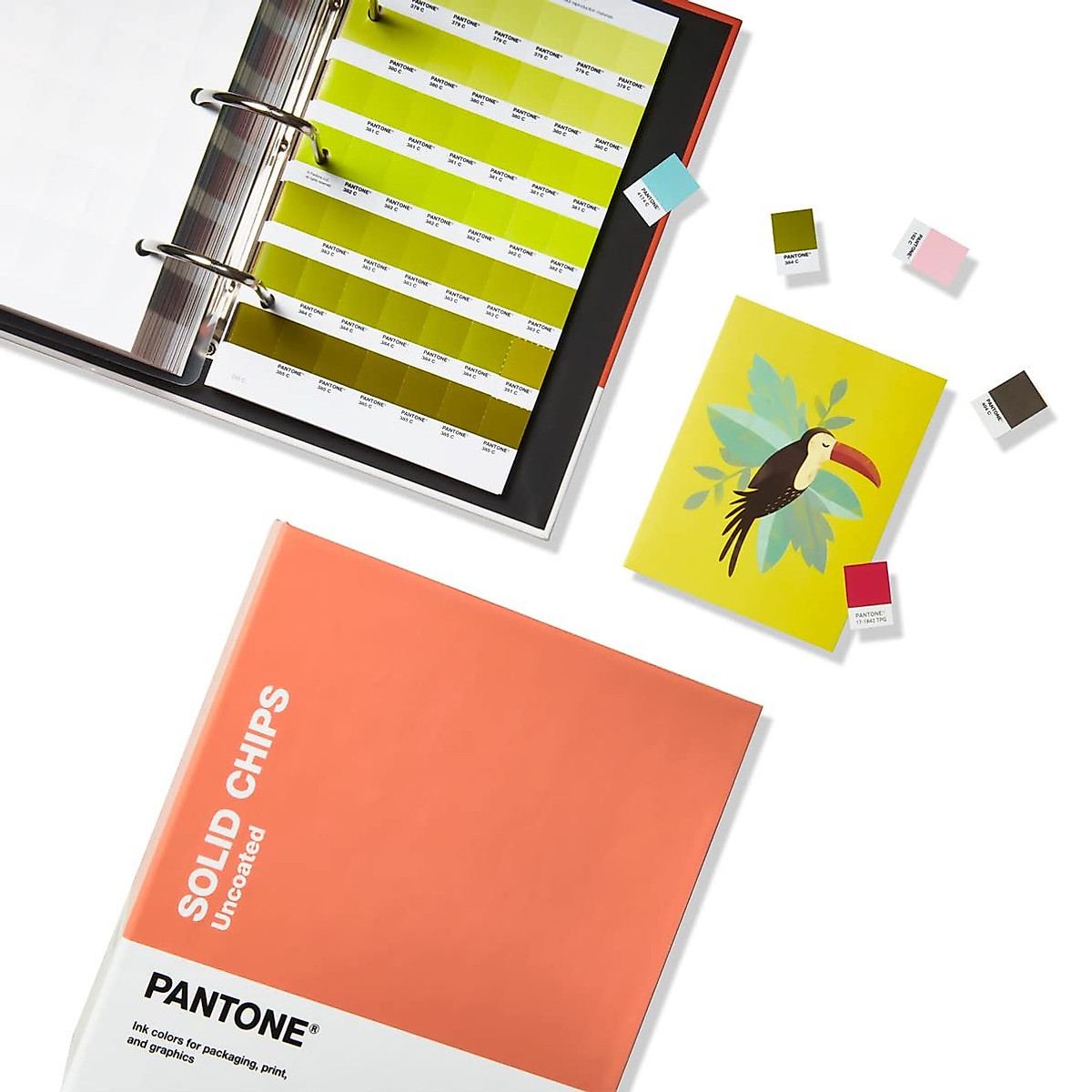 Pantone Solid Chips Coated & Uncoated | Shareable & Versatile Spot Color Chips for Graphics and Prints | GP1606B