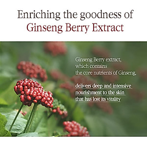 [PKY] Pyunkang Yul Black Tea Boosting Serum for Anti-aging, Condensed Nutrition for Fine Line Care with Kombucha, Ginseng Fruit Extract, Zero-Irritation, Korean Skincare (1.52 Fl. Oz, 45ml)