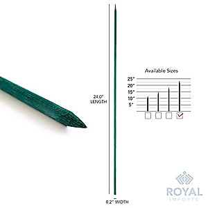 24" Green Wood Plant Stake, Floral Picks, Wooden Sign Posting Garden Sticks (25 Pcs) by Royal Imports