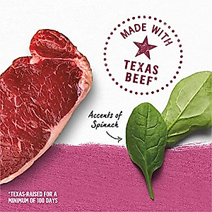 Purina Beyond Farm-Raised Beef and Spinach in Gravy Grain Free Wet Dog Food - (12) 12.5 oz. Cans