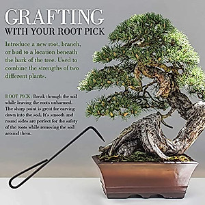 BambooMN Bonsai Root Pick Tool Steel Claw - 1 Piece