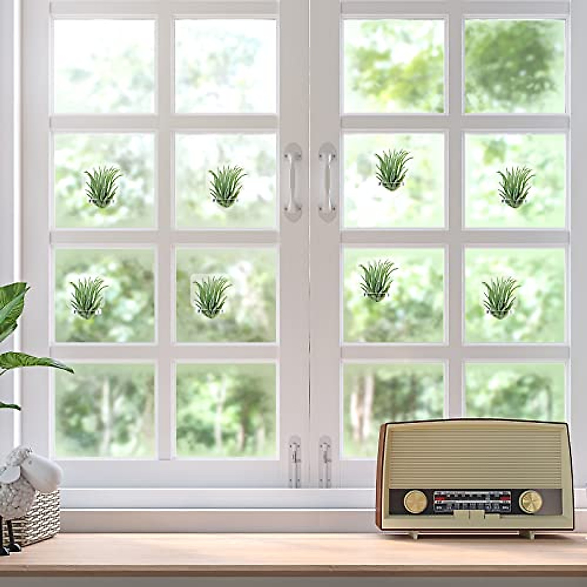 Jetec 12 Pcs Air Plants Holder, Acrylic Air Plant Hanger with Mounting Tape for Hanging Air Plants on Glass Display Home Decoration, Plants Not Included