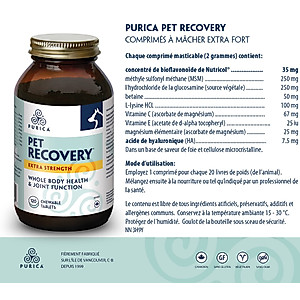 Purica Recovery Extra Strength Dog Supplement - Supports Hip and Joint Health for All Breeds - Contains Nutricol, Hyaluronic Acid, EGCG, Resveratrol - Aims to Enhance Canine Endurance and Flexibility