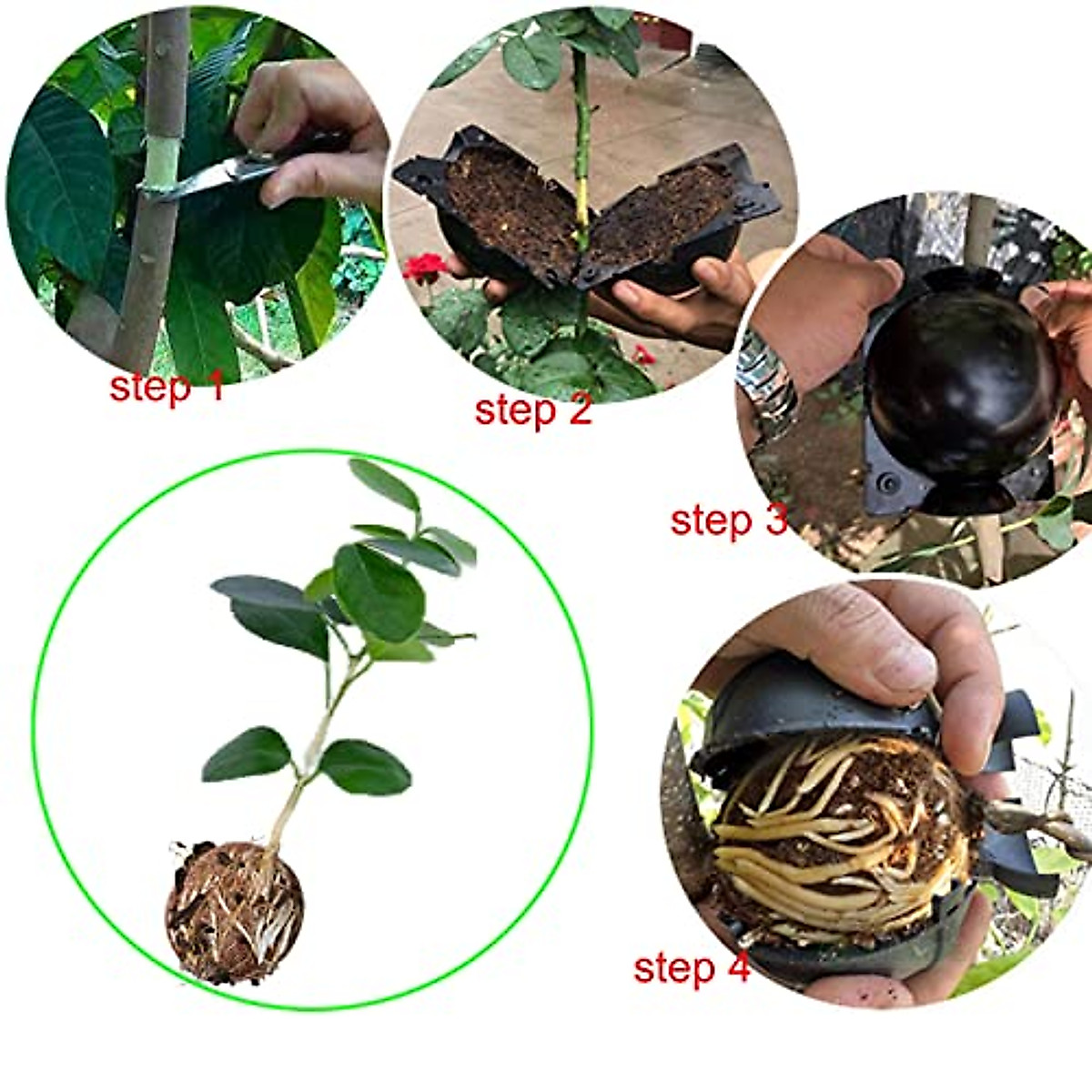 QHC KOCK Tree Root Growing Box,10 Pack Rooting Ball Grafting Tools,Sprouts Growing Kit Reusable High Pressure Tree Rooter Air Plant Layering Propagation Pot Rooting Device for Plant Cutting Seedings