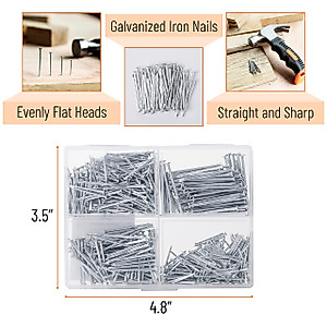 Mr. Pen- Nail Assortment Kit, 600pc, Small Nails, Nails, Nails for Hanging Pictures, Picture Hanging Nails, Finishing Nails, Hanging Nails, Picture Nails, Wall Nails for Hanging, Pin Nails