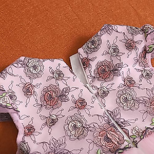 TENTIDE Baby Flower Grils Pink Dress Princess Pageant Rose Embroidery Layered Tulle Tutu Gown Dress 0-18M (Pink, 3-6 Months)