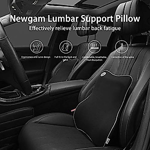 Newgam Lumbar Support Pillow,Pure Memory Foam Back Cushion Orthopedic Backrest with Breathable 3D Mesh for Car Seat,Office Chair,Computer Chair,Wheelchair and Recliner.Ergonomic Design (Grey Edge)