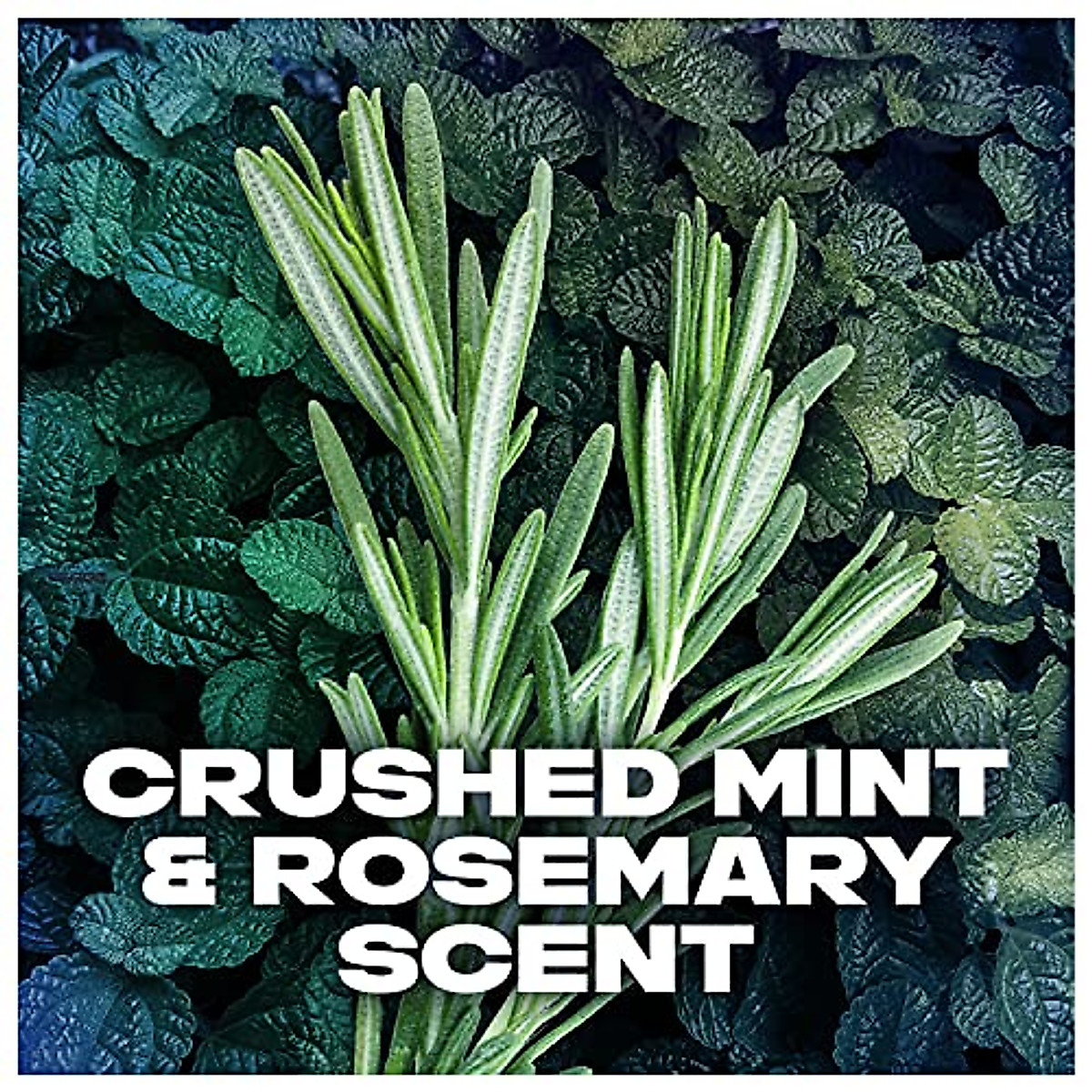 AXE Body Spray Deodorant Phoenix for Long Lasting Odor Protection Deodorant for Men Formulated Without Aluminum 4.0 oz