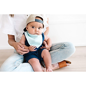 Copper Pearl Baby Bandana Bibs - 4 Pack Soft Cotton Baby Bibs for Drooling and Teething, Absorbent Drool Bibs for Baby Girl and Boy, Adjustable to Fit Newborns to Toddlers, Tons of Styles (Stone)