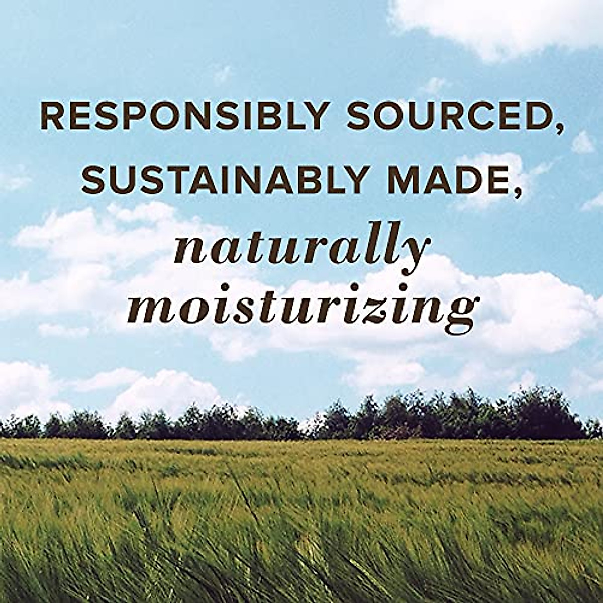 Burt's Bees 100% Natural Origin Rescue Lip Balm With Beeswax and Antioxidant-Rich Turmeric Promotes Healing Of Extremely Dry Lips, Unscented, 2 Tubes in Blister Box