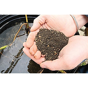 Aquascape Pond Aquatic Plant Potting Media, 432 cubic inches | 89003
