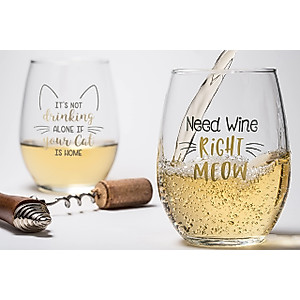 Lillian Rose 2 Cat Lover Wine Glasses with Funny Sayings, 2 Count (Pack of 1), Clear