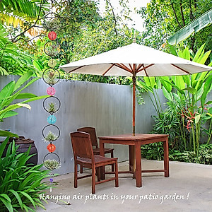 Tillandsiart Air Plant Hanger (Rings & Balls Tillandsia Air Plant Hanging Planter Set) A Unique DIY Kit for You to Hang Air Plants Indoors or Outdoors - Air Plants Not Included.