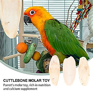 Scicalife Bird Cuttlebone for Parakeets,8-12cm Natural Cuddle Bone, Chewing Cuttlefish Bone for Sharp Beaks, Natural Birds Calcium Suitable for Parrot Cockatiels Budgie Conures (Beige)