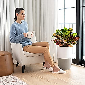 Dupray Bloom™ Air Purifier for Large Rooms with Planter or Custom Accent Table Design | For Home, Bedroom, Office, Dust, Pets | H13 HEPA Air Filtration (Planter, Cloudy Gray)