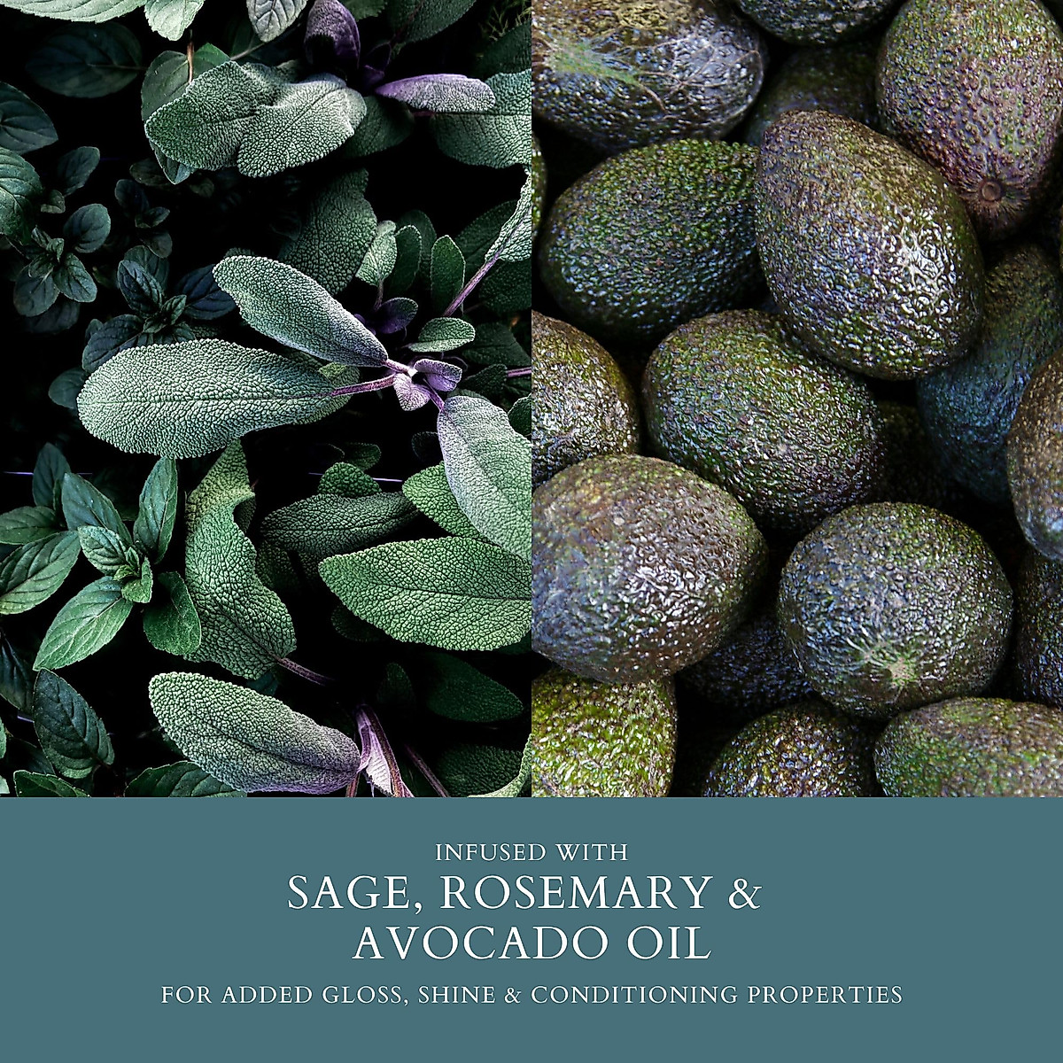 smartSOLUTIONS Dual-Action Creme Shampoo | Sulfate, Paraben & Sodium Chloride Free | Color Safe & Chemically Treated Hair Safe (12 fl oz)