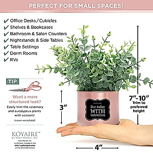 KOYAIRE 3 Motivational Faux Plants for Desk - Rose Gold Decor for Office - Small Home Office Accessories - Desk Decorations - Pink Office Gifts