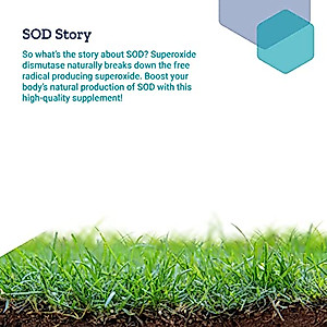 Life Extension SOD Booster - Superoxide Dismutase Supplement - Antioxidant for Liver Health and Detox - with Chokeberry Extract & Melon Concentrate - Gluten-Free, Non-GMO, Vegetarian – 30 Capsules
