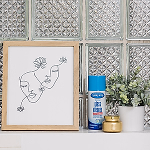 Sprayway Ammonia-Free Glass Cleaner, Foaming Action - Streakless Shine, 1 Count (New & old versions are shipped randomly)