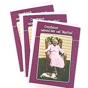SHADE TREE GREETINGS Funny Birthday Greeting Card (5" x 7") by Actual Pictures | 3 Pack + 3 Envelopes (Martini Cat)