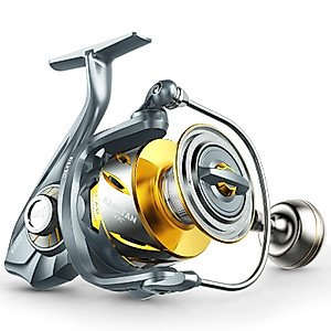 KastKing Kapstan Elite Spinning Reel,Saltwater Fishing Reel,Size 3000