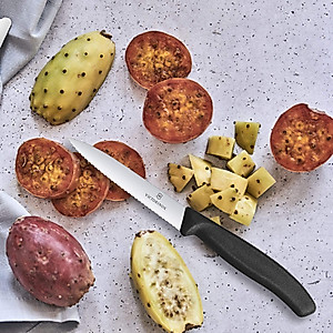 Victorinox VIC-6.7733 Swiss Classic Paring 4" Serrated Spear Point Blade 5/8" Width at Handle Black