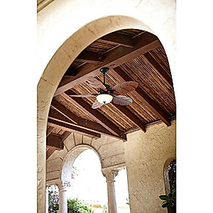 Home Decorators Collection 51422 Palm Cove 52 in. Natural Iron Ceiling Fan
