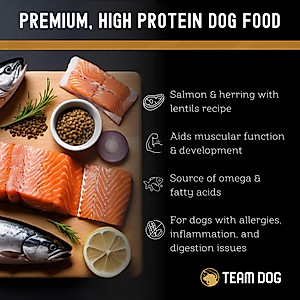 Team Dog Elite Blend Salmon Dog Food with Herring & Lentils | High Protein Dog Food for Sensitive Stomachs & Skin | Chicken Free, Gluten Free, GMO Free, No Corn, Wheat or Soy (15 lb Dry Dog Food)