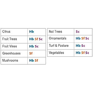 Beneficial Nematodes Heterohabditis bacteriophora HB -Ships from USA (50 Million)