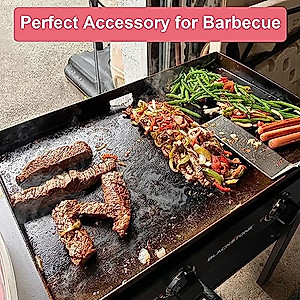 BMMXBI 2 Outlet Electronic Grill Igniter for Blackstone 28 inch Griddle, Universal AA Battery Cover Spark Igniter Replacement Kit