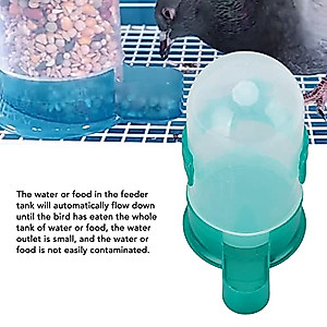 GLOGLOW Pigeon Water Feeder, Automatic Bird Pigeon Food Feeder Water Dispenser for Sparrow Parrorts Budgie Cockatiel Lovebirds