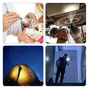 Pen Light, RISEMART Reusable LED Medical Penlight for Nurse Students Doctors with Pupil Gauge, Extra Warm Light Bulb, Pocket Clip and Batteries Included