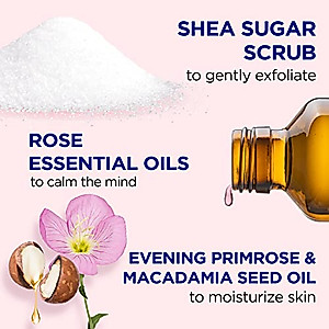 Dr Teal's Shea Sugar Body Scrub, Rose with Essential Oil, 19 oz (Pack of 3) (Packaging May Vary)