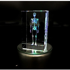 3D Human Skeleton Anatomical Model Paperweight(Laser Etched) in Crystal Glass Cube Science Anatomy Gift (No Included LED Base)(3.1x2x2 inch)