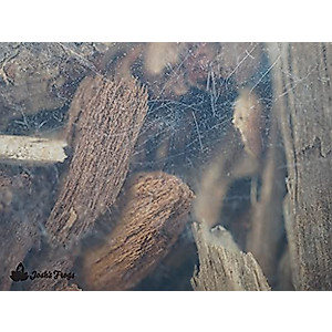 Josh's Frogs Reptile Bark (10 quarts)