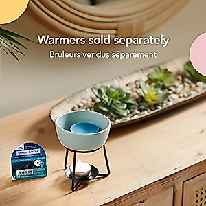 Yankee Candle Wax Melts | Moonlit Cove | Up to 8 Hours of Fragrance | 1 Count (1630637E)