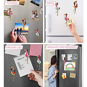 Puzzled Flamingo Refrigerator Bobble Magnet (Set of 3)